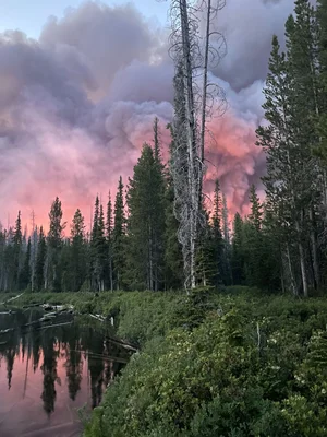 Wildland Fire 101 | Wildland Firefighter Compensation: Breaking Down a ...