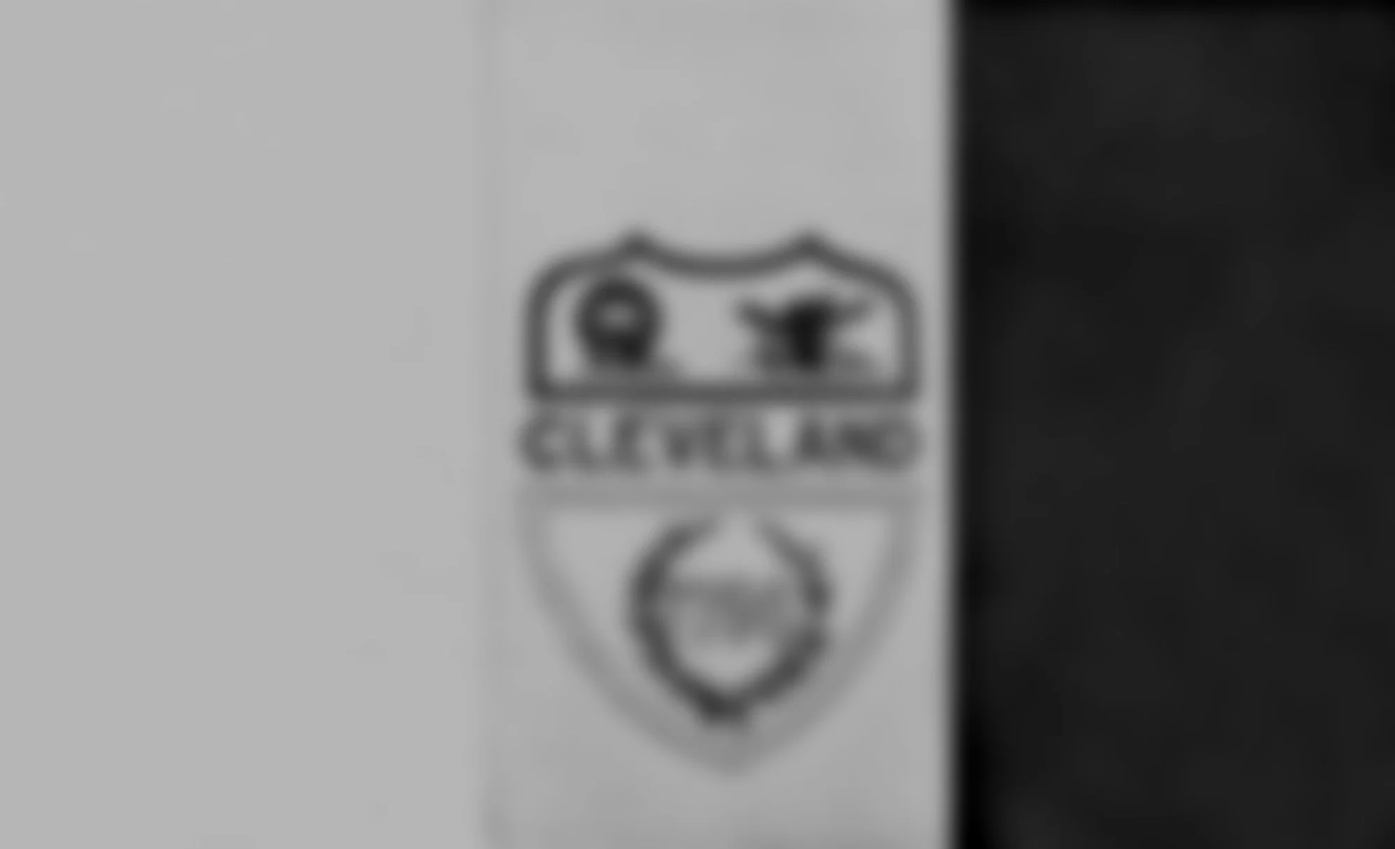 The People's Flag of Cleveland