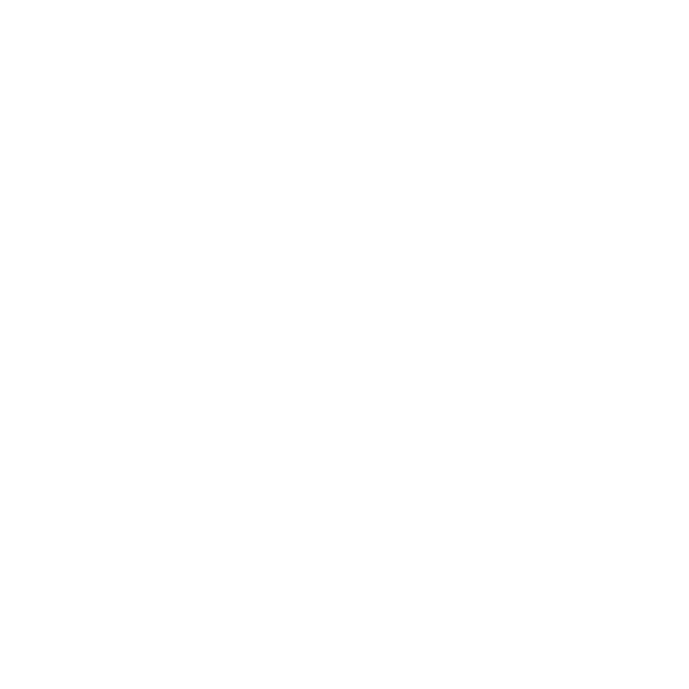 The People's Flag of Cleveland