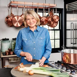 MARTHA STEWART — MARQUEE BRANDS