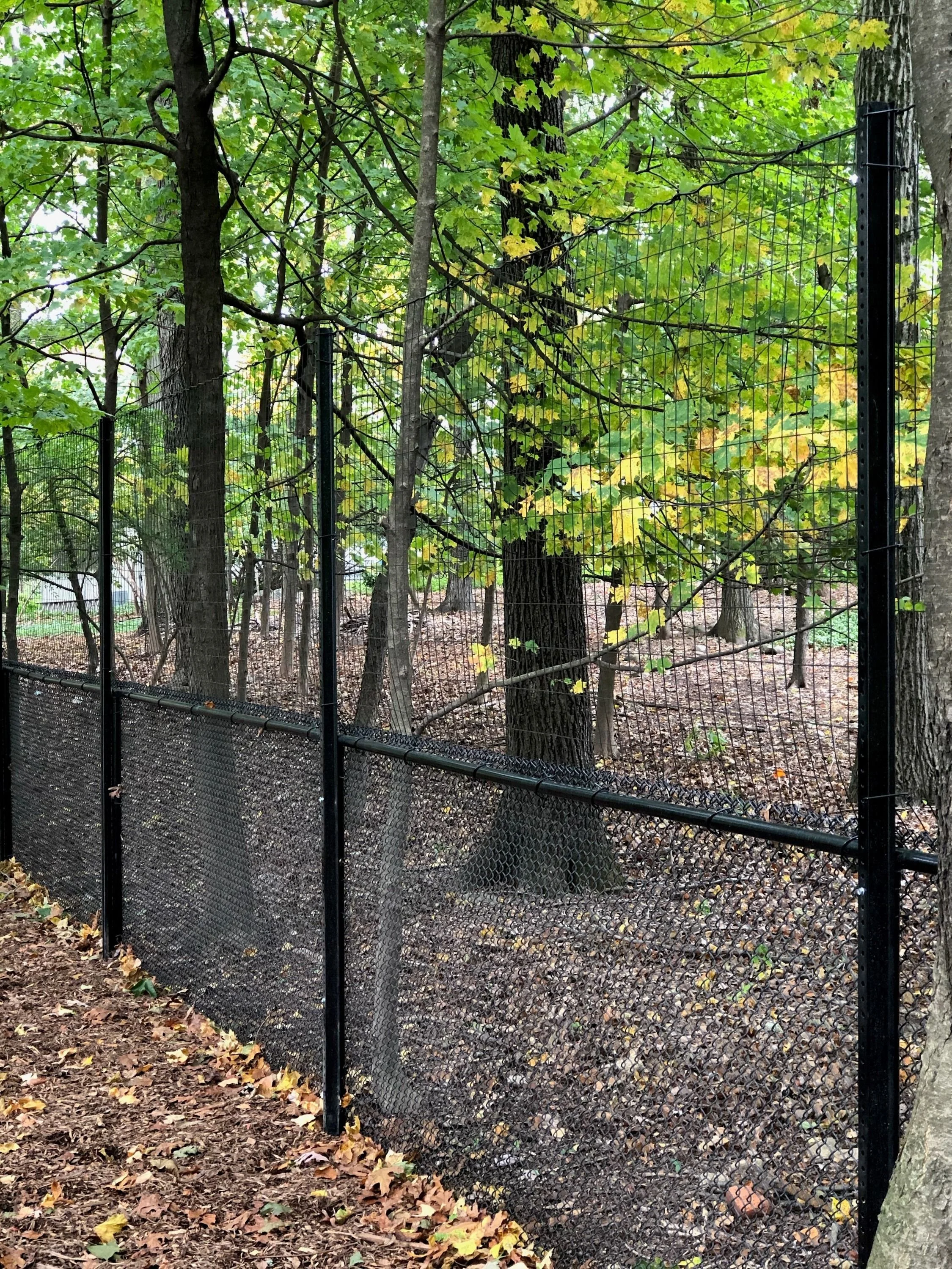 Deer Fence Solutions: Reliable Fence Installation in Westchester County ...