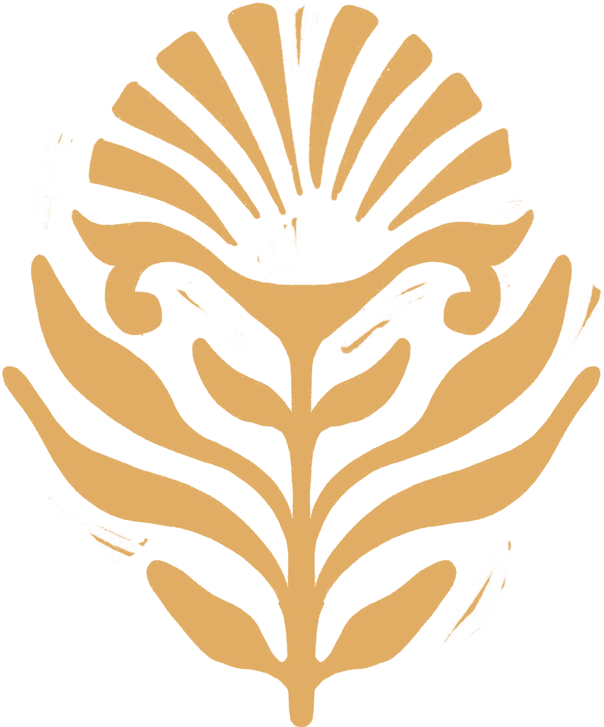 SunFyr Barns Norfolk: Yoga • Clinic • Events • Training • Cafe