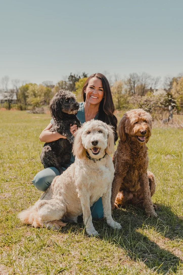 Davis Family Veterinary Hospital