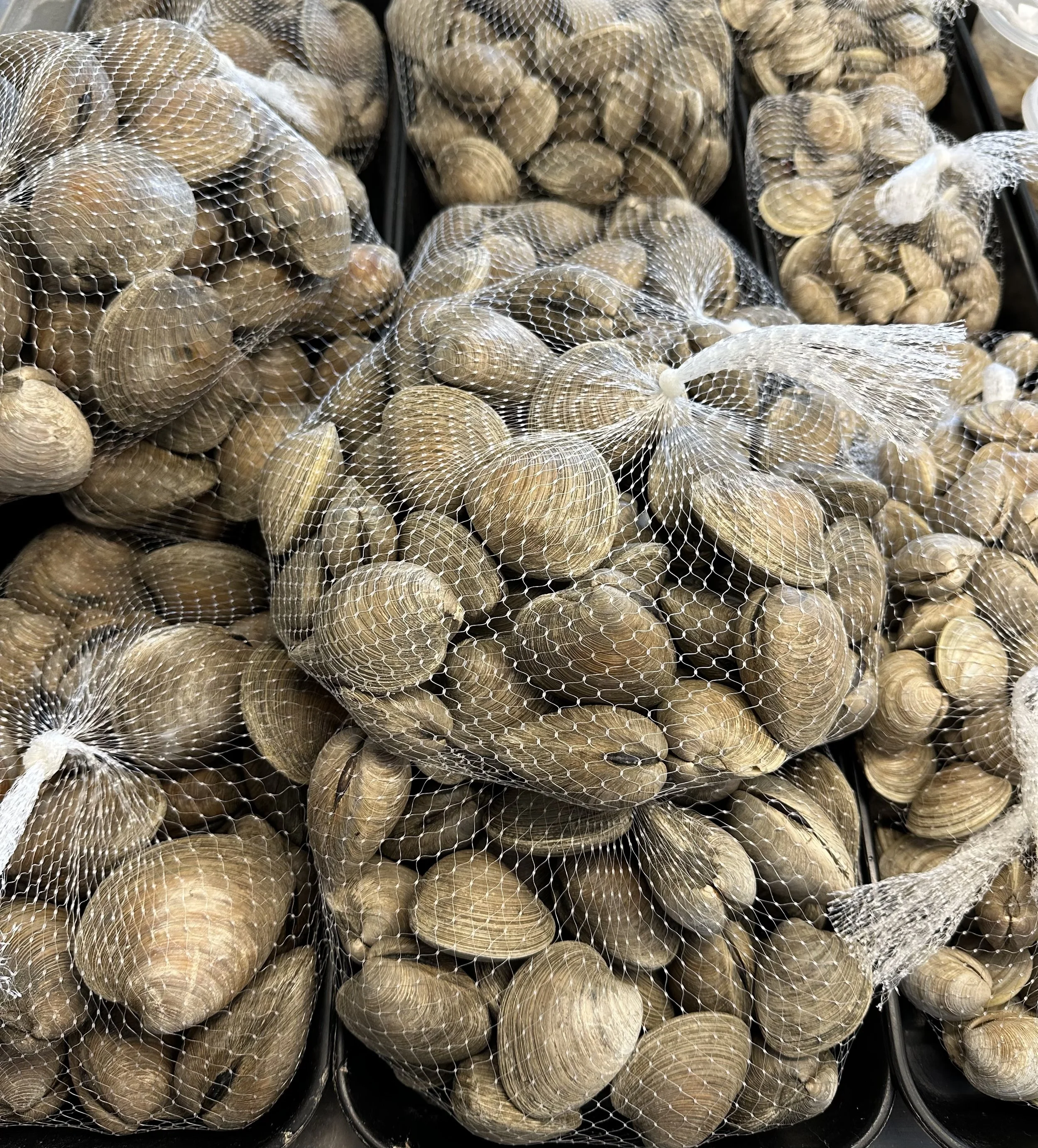 Todd's Island Seafood | Explore Our Fresh Seafood