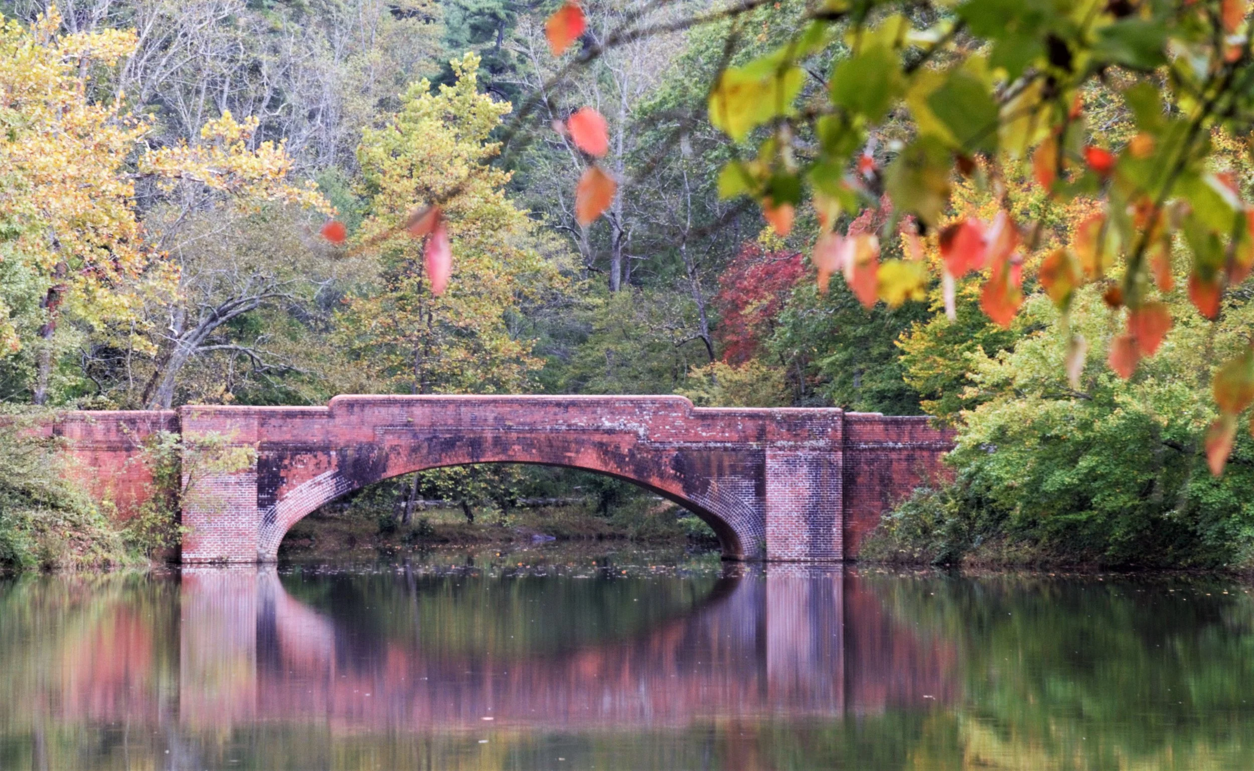 Intuitive Guidance — Path 2 Peace