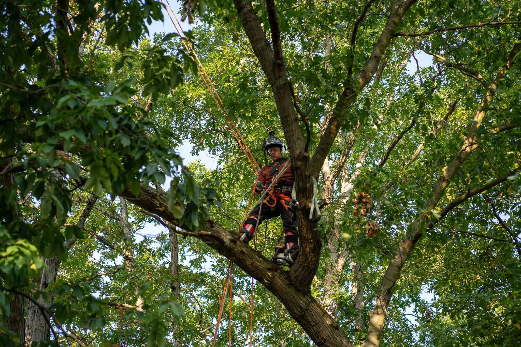 Thank you | Stay Connected Today — Martin Tree