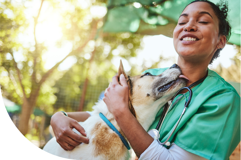 PetVivo Animal Health