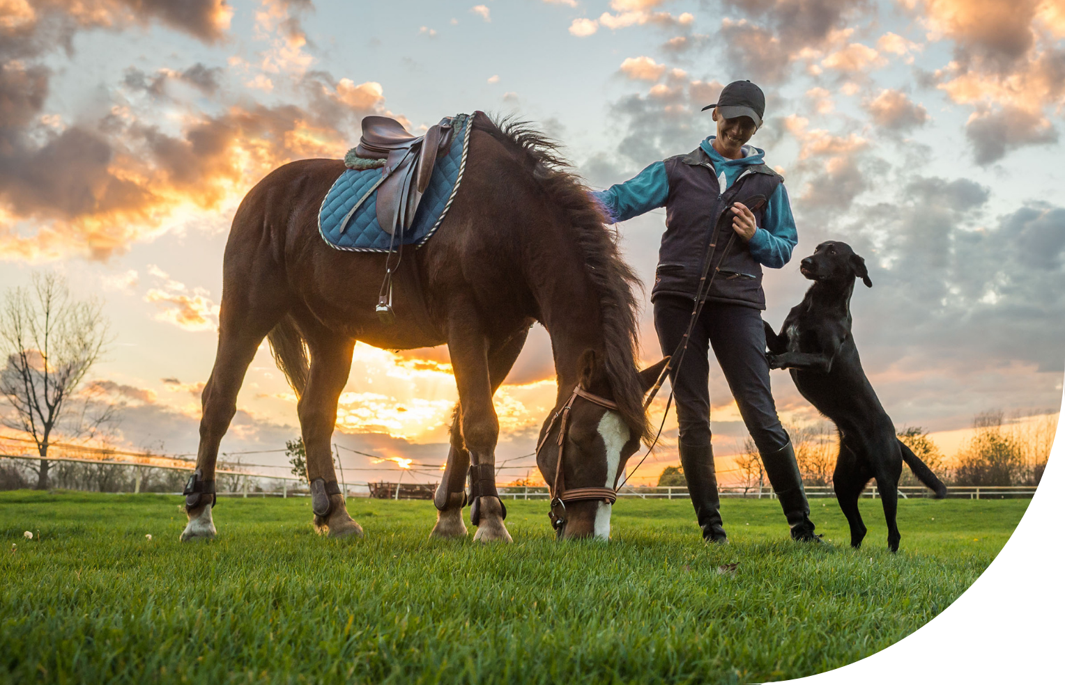 PetVivo Animal Health