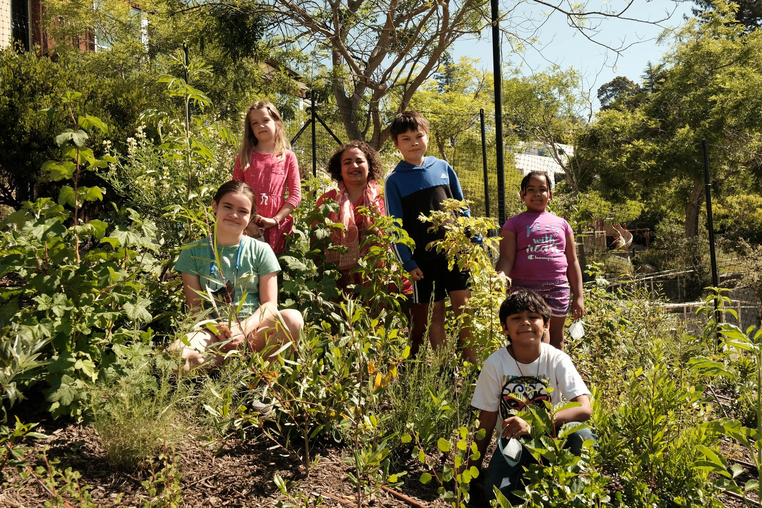 Green Pocket Forest
