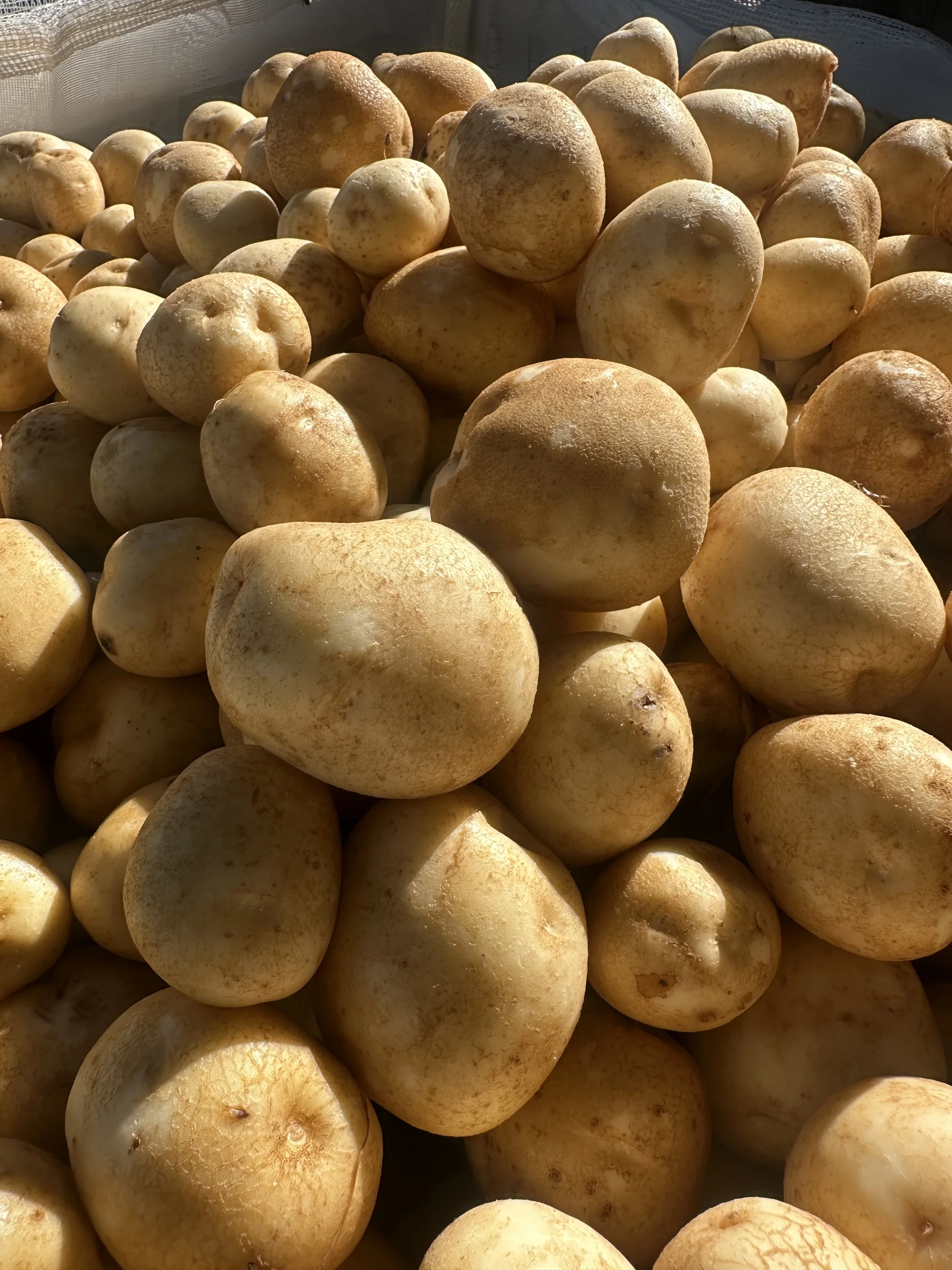 American Produce and Repack