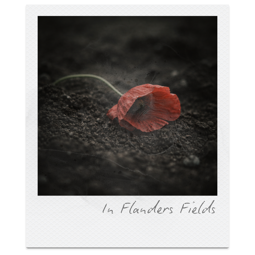 10 Best WWI Poems to Teach: World War One Poetry with Classroom Ideas ...