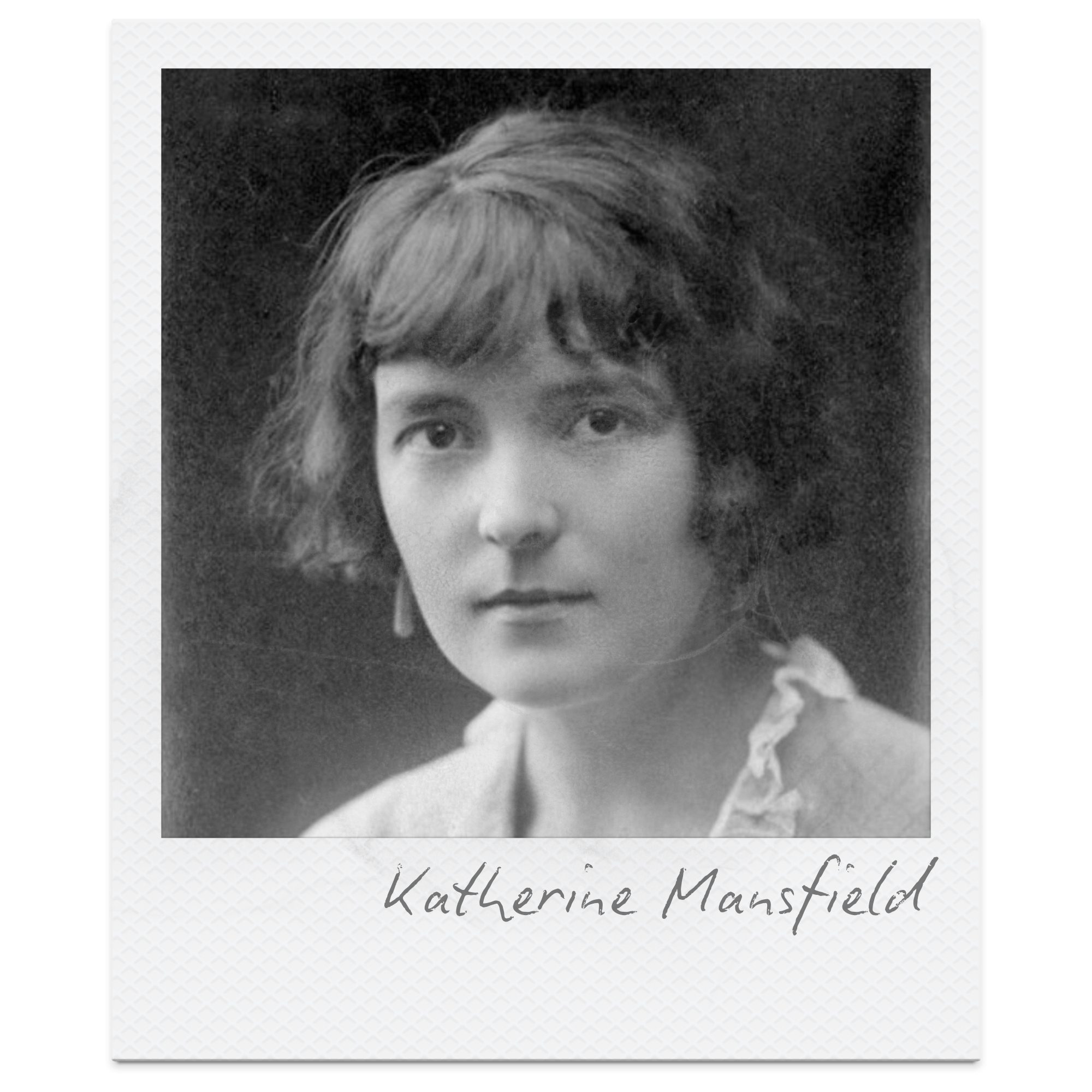 The Fly by Katherine Mansfield: Post-War Grief, Trauma & Teaching Ideas ...