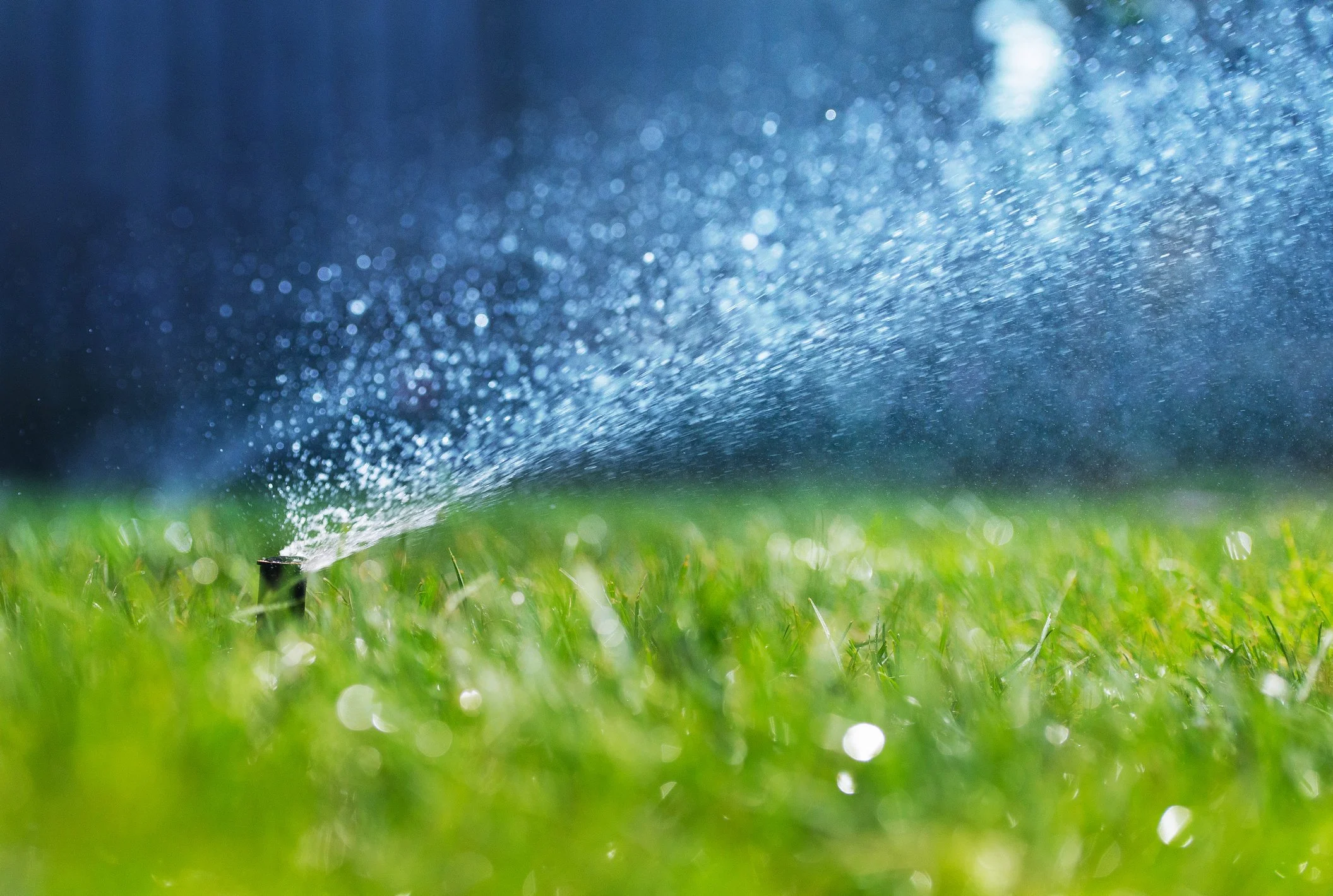 All-Star Irrigation CEUs | TCEQ-Approved Online Courses for Texas ...