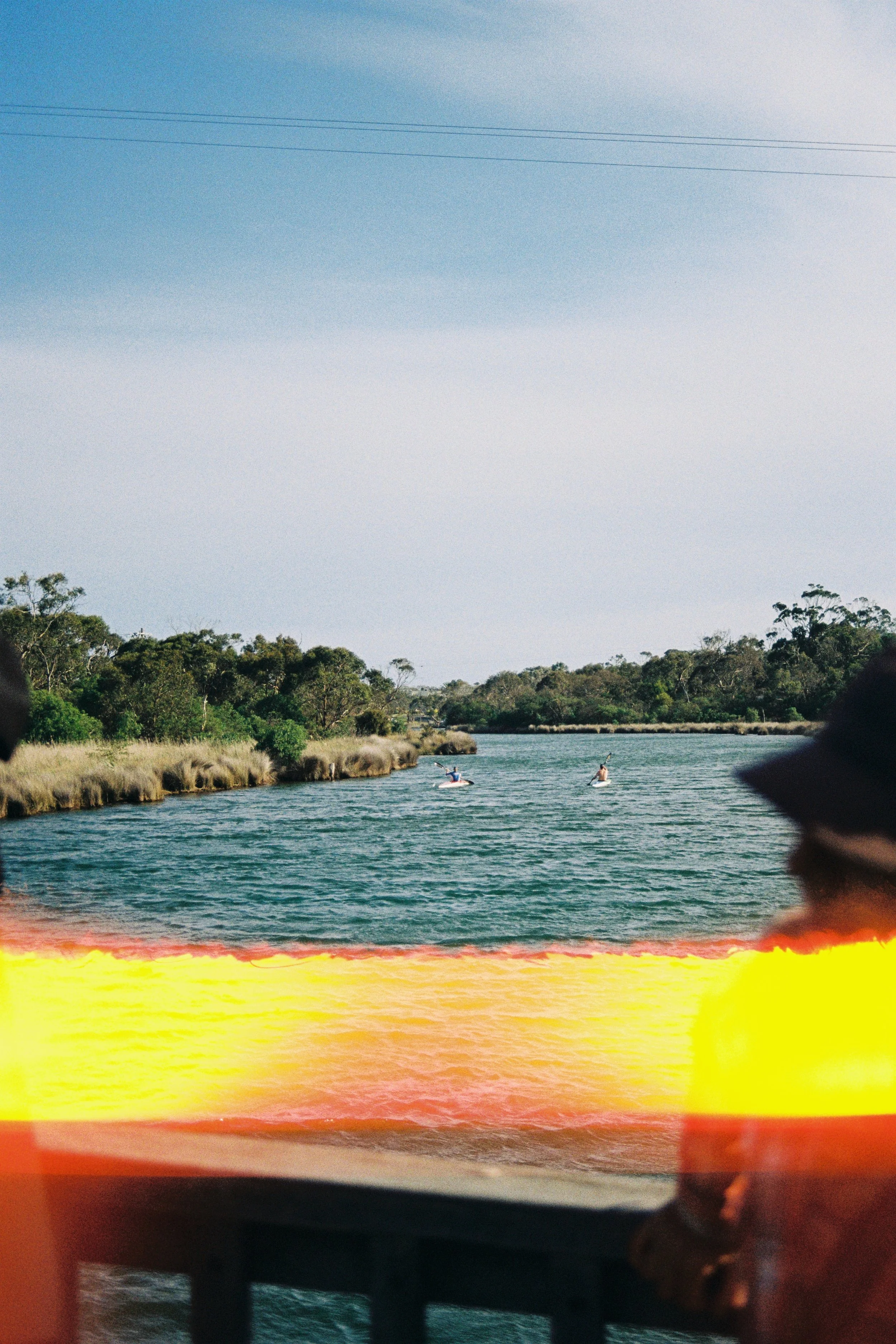 Friends of Anglesea River