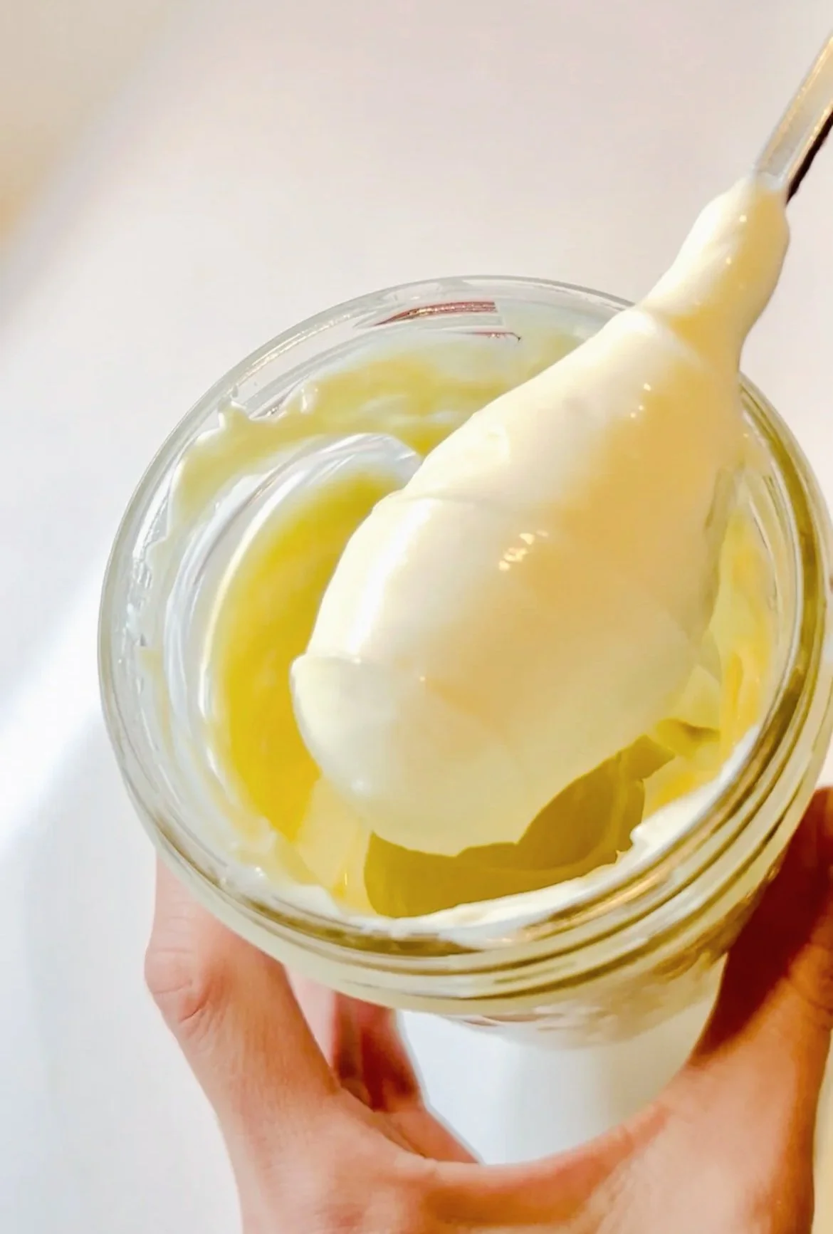 Homemade Mayo Recipe (Better Than Store-Bought, 5 Minutes, 6 ...