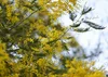 Creative Native Foods | Experience Native Flavours Today