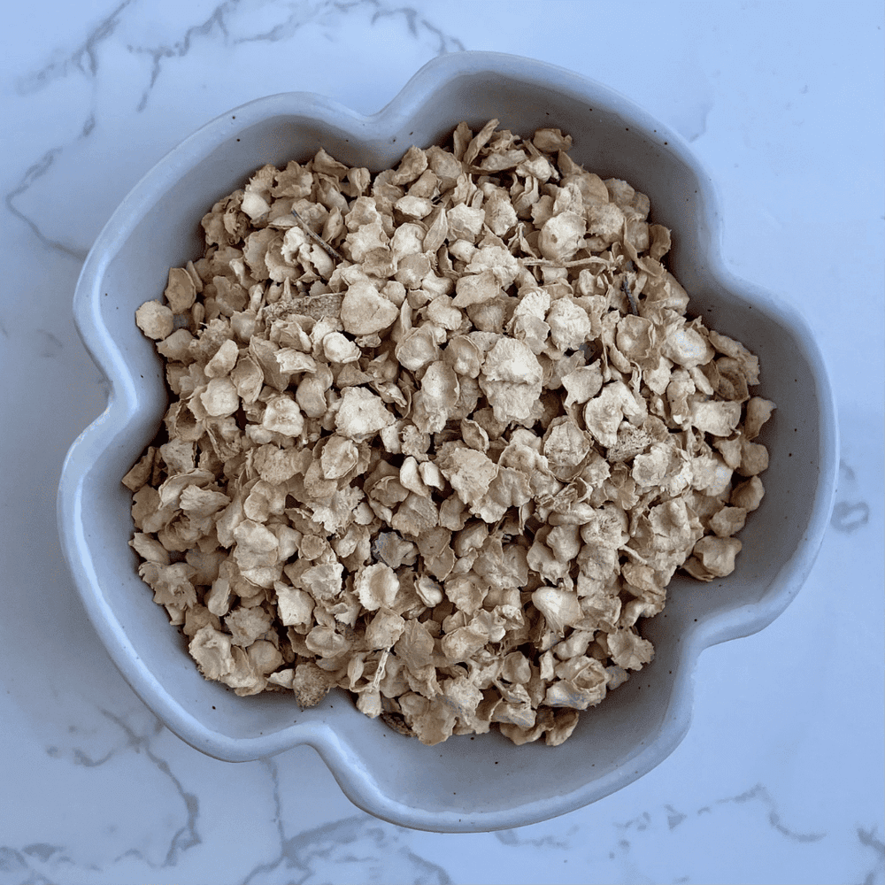 Bunya Nut Frozen 100g — Creative Native Foods