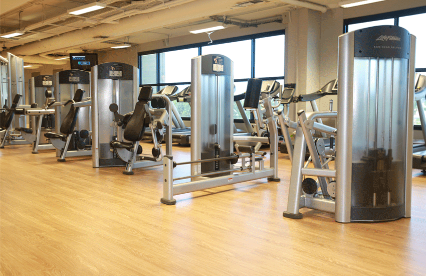 Elite Fitness