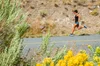 Run Training Explained: What Is Zone 3 / Tempo?