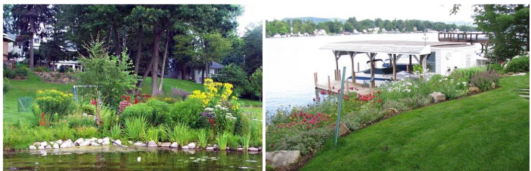 Buffer Gardens, Rain Gardens, and Shoreline Planting — Lake Attitash ...