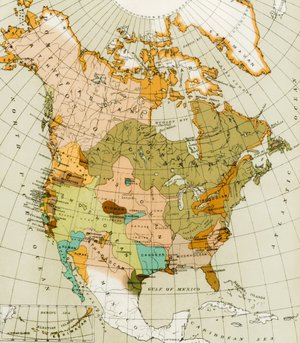 NFPA 99 Editions by State – Official Sources & Table — Lantern Academy