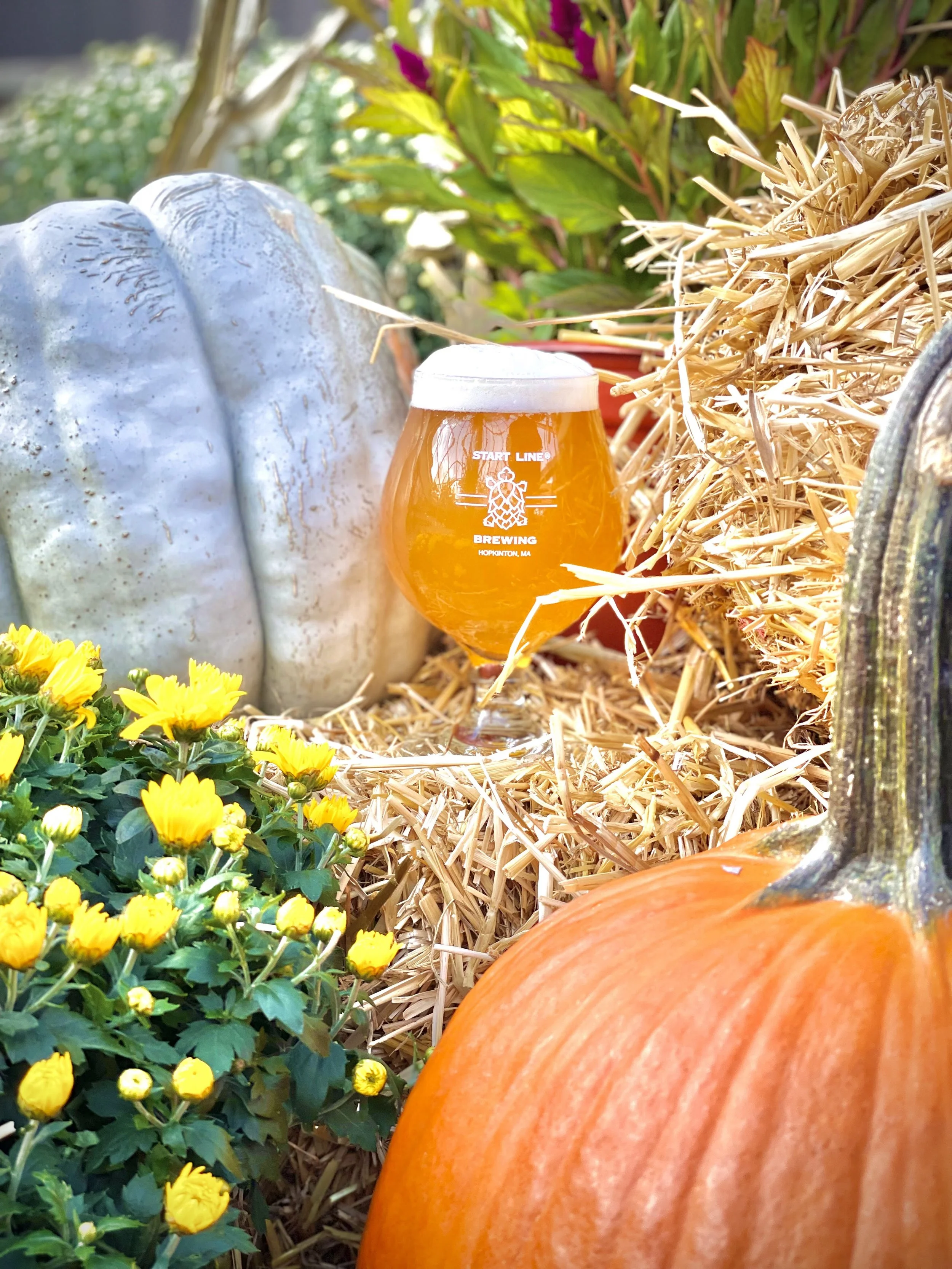 Home — Start Line Brewing Company