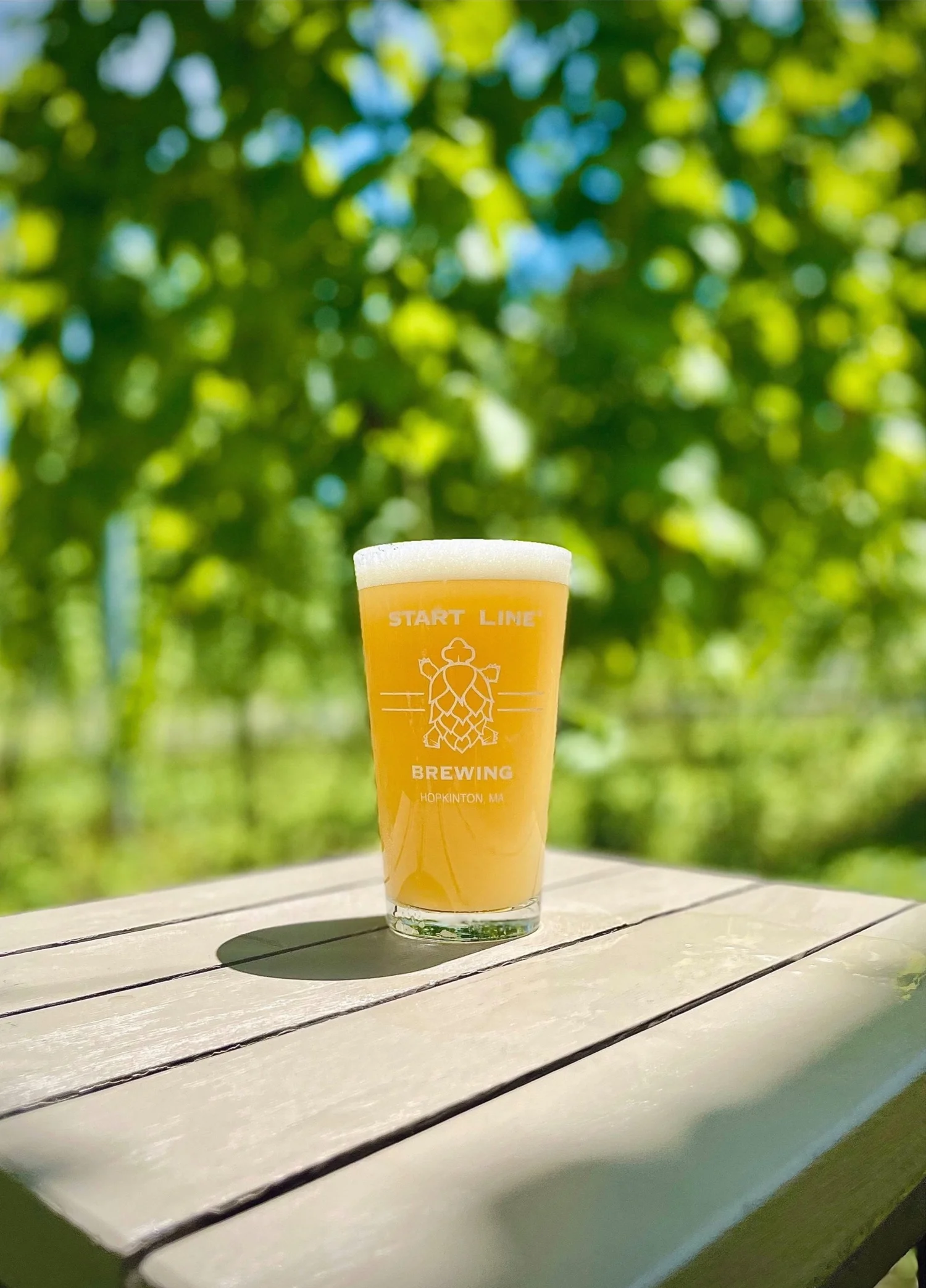 Home — Start Line Brewing Company