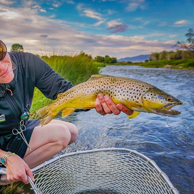 Gallery — Madison Double R