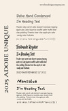 The Best Adobe Fonts for 2025 (Perfect for New Business Branding ...