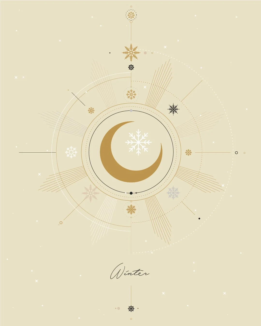 Beckon | Michelin-Starred Chef's Counter & Seasonal Tasting Menu | Denver