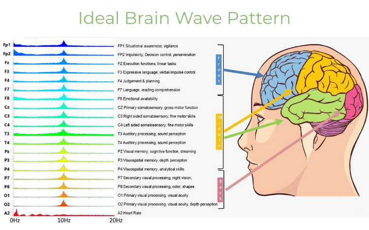 Transcranial Magnetic Stimulation (TMS) & NeuroSync™ - Alleviant