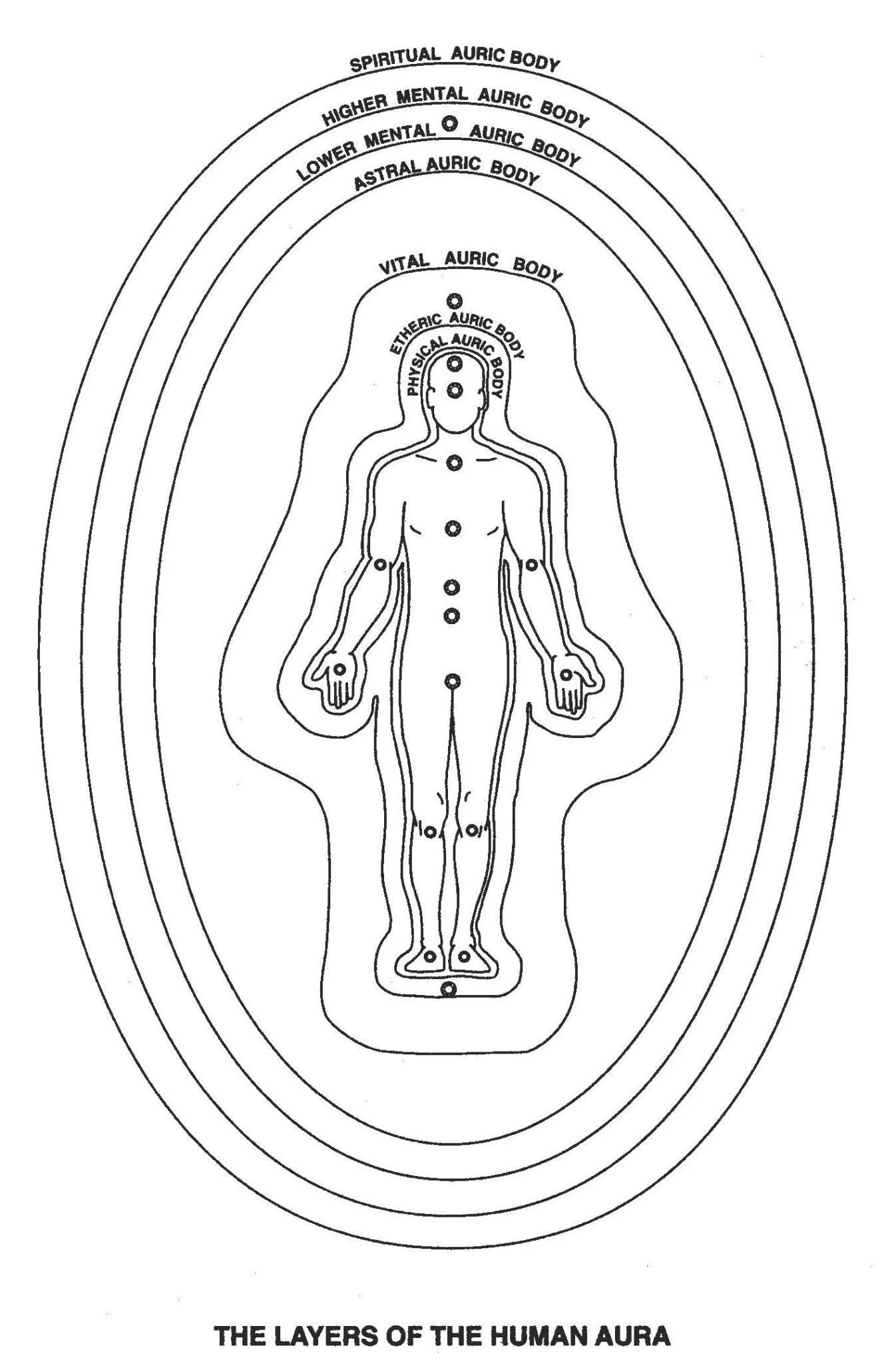 What is the Human Aura? — Your Human Aura