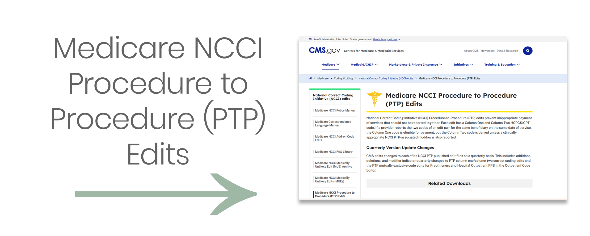 NCCI Edits — kaymedcoding
