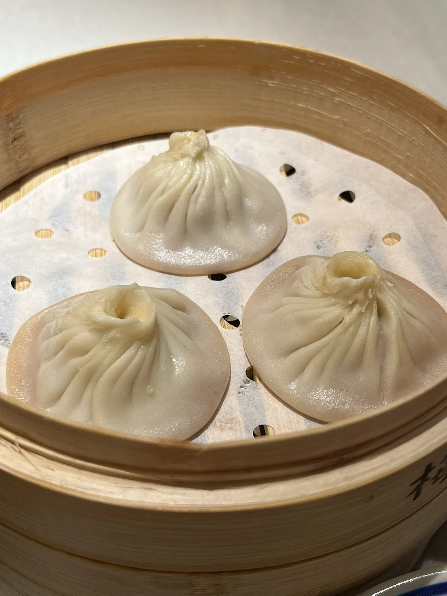Ultimate Shanghai Travel Guide 2026: Top Tips From A Local — YenKid In ...