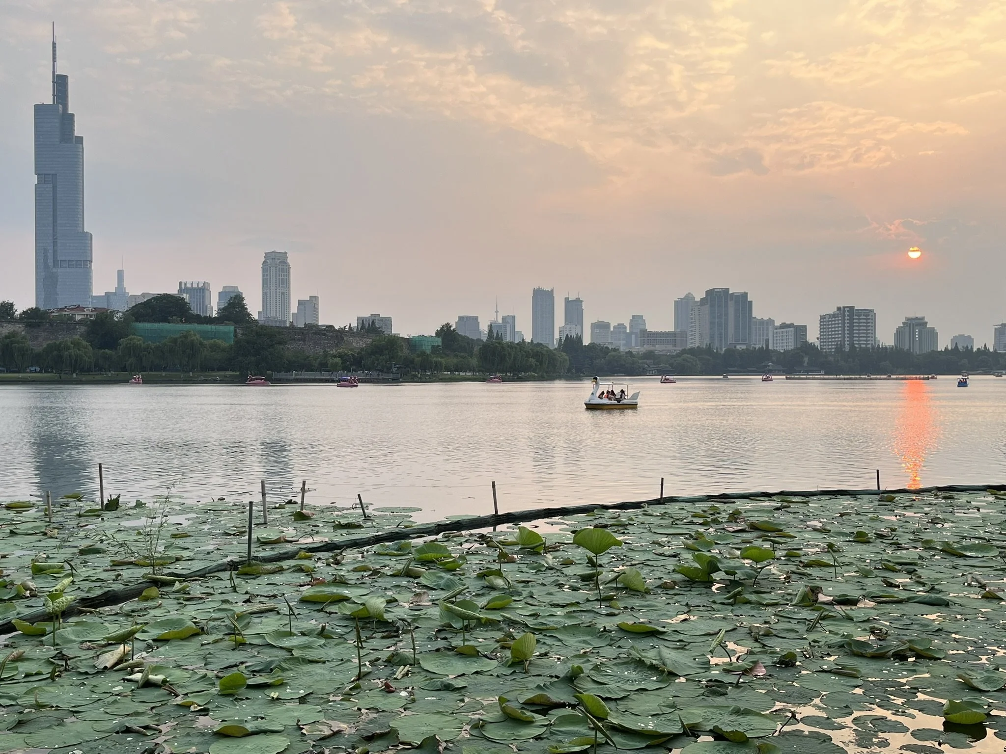 Ultimate Nanjing Travel Guide 2026: Top Tips From A Local — YenKid In China