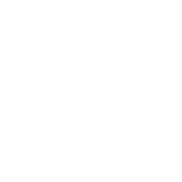 Service 1st