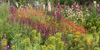 The English cottage garden design and cornerstone planting: a creative ...