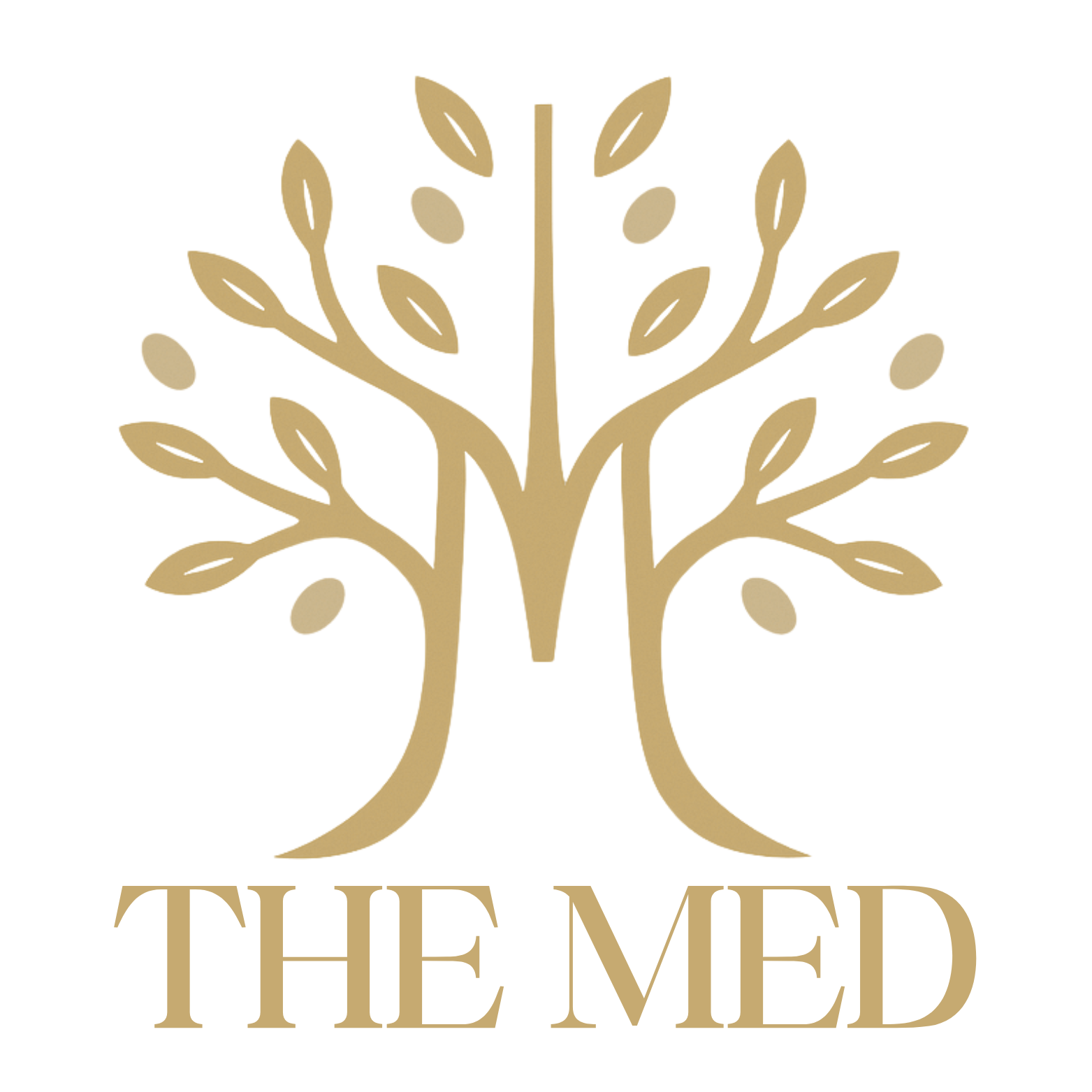 LUNCH — The Med Restaurant