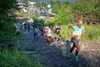 Race The Cog! | Join the Adventure Now — The Mount Washington Cog Railway