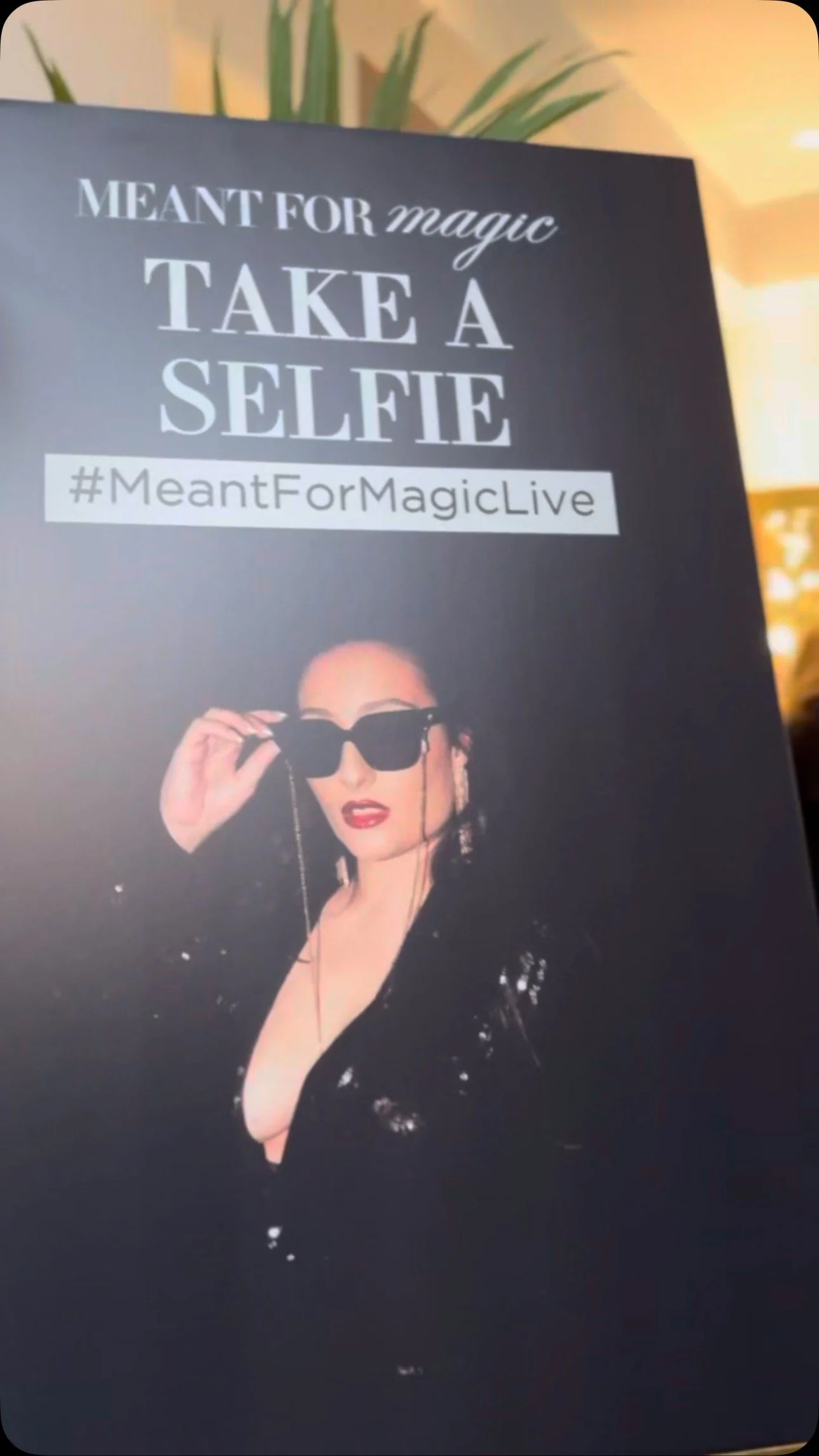 Wolves & Roses Creative