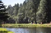 Canyonview Camp & Equestrian Center