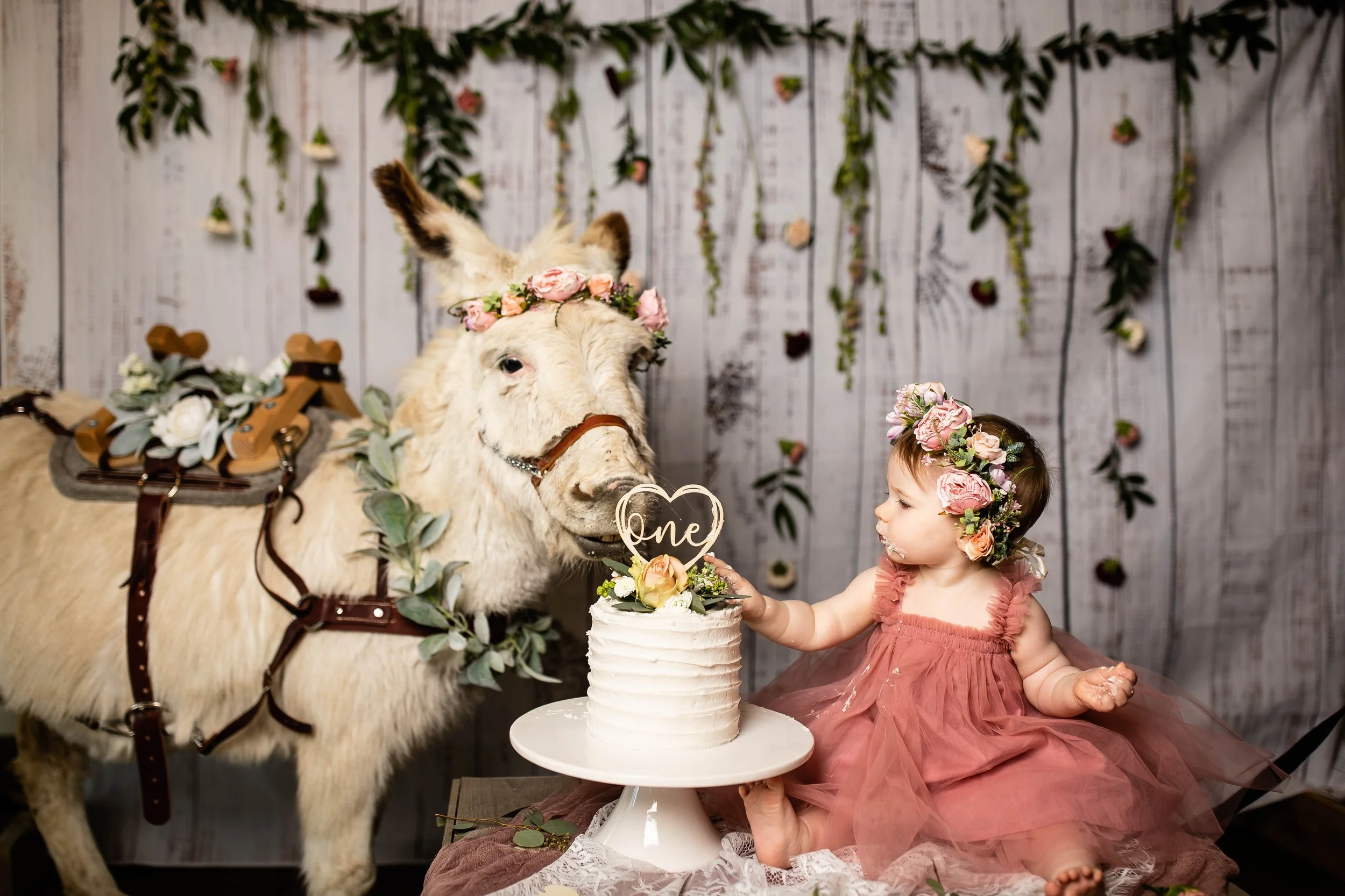 Beverage Burros — Funny Ass Farm