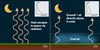 Radiation Fog — About MetService