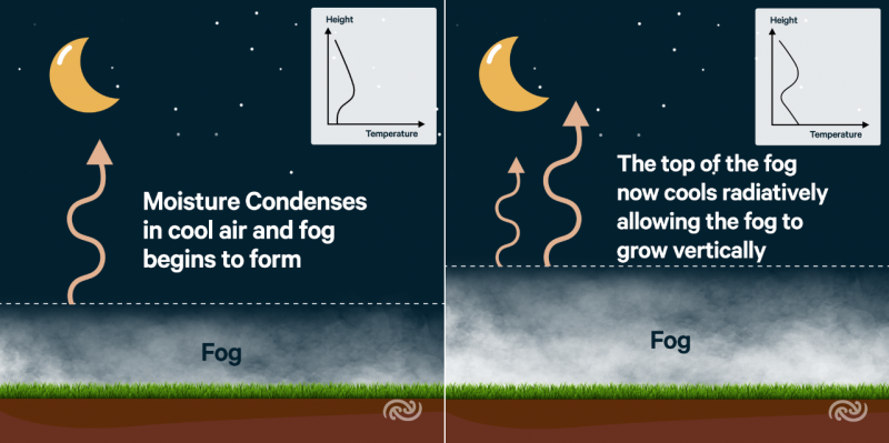 Radiation Fog — About MetService