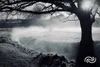 Radiation Fog — About MetService