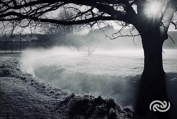 Radiation Fog — About MetService