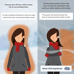 Wind Chill — About MetService