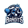 Academies & Clubs — South Australia Junior Basketball League