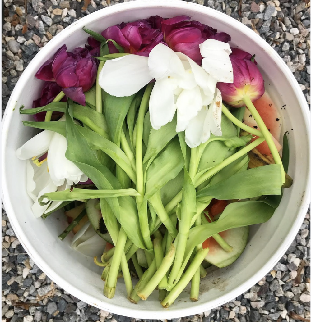 Household Compost Service — Happy Compost