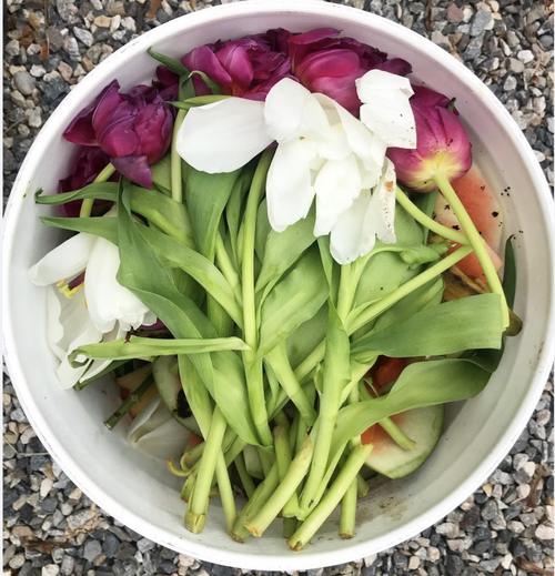 Household Compost Service — Happy Compost